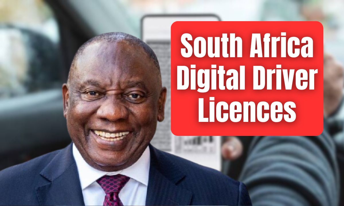 South Africa Digital Driver Licences 2025: What Every Motorist Must ...